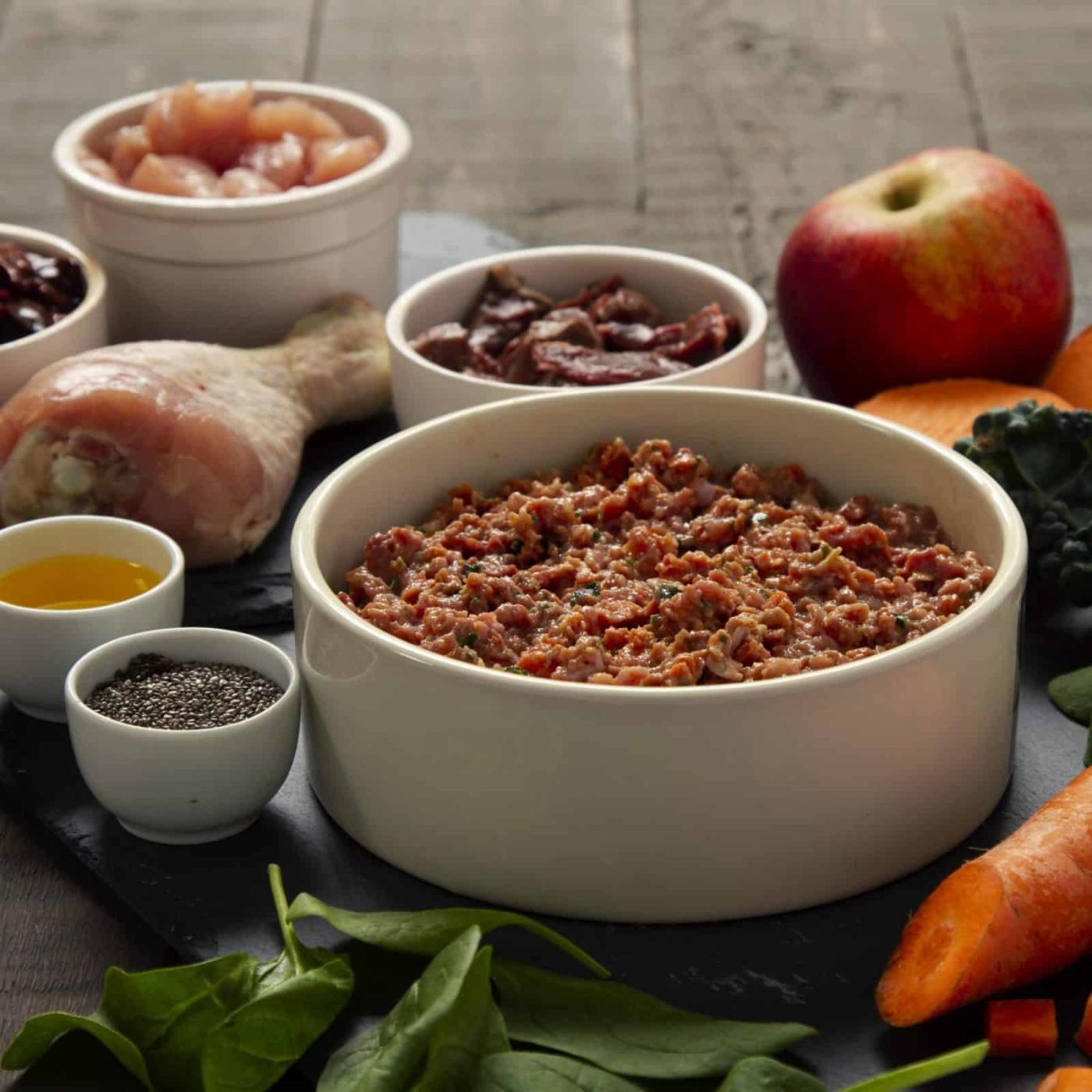 Seriously Informed Raw Dog Food | First Choice Nutrition